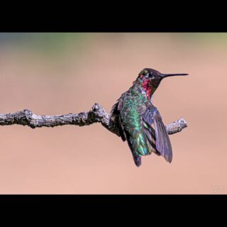 ZeroDean.com | Home - Zero Dean