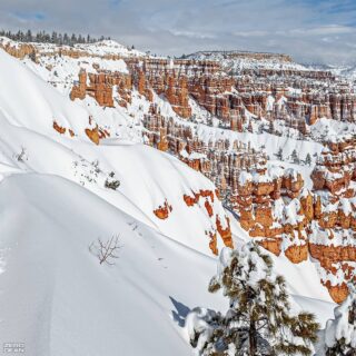 ZeroDean.com | Home - Zero Dean